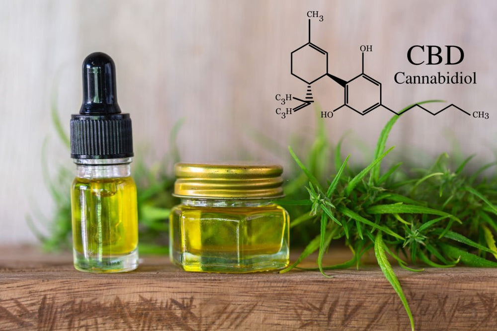 What Is the Bioavailability of CBD Oil? (Guide & Facts) – Pure Spectrum CBD